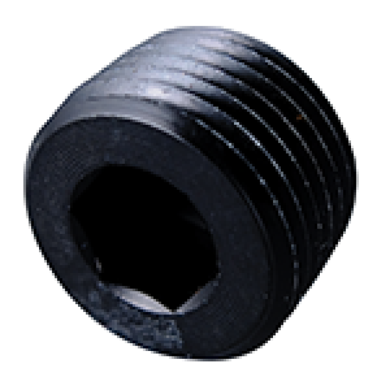 Fragola 1/4 NPT Pipe Plug- Internal Black – StangMods LLC